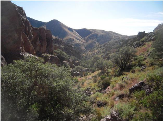 The San Mateos – Tracking Nana